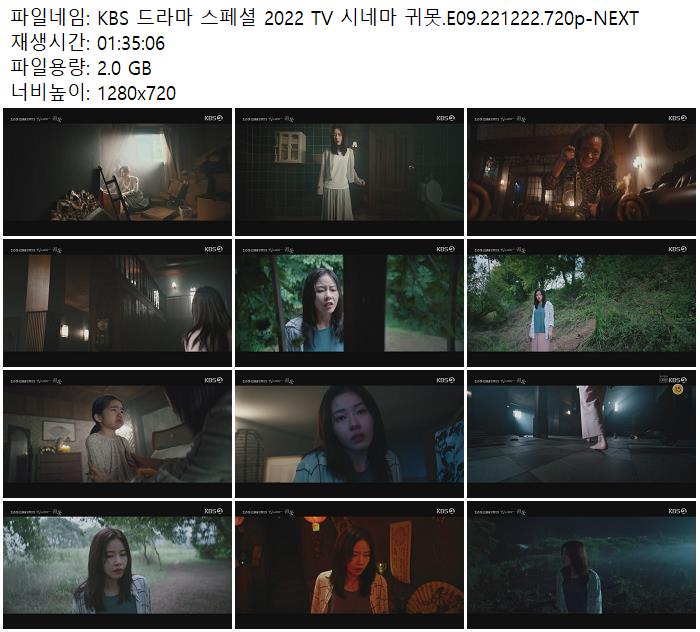 KBS 드라마 스페셜 2022 TV 시네마 귀못.E09.221222.720p-NEXT,무료다운 및 실시간 감상! : 파일캐스트
