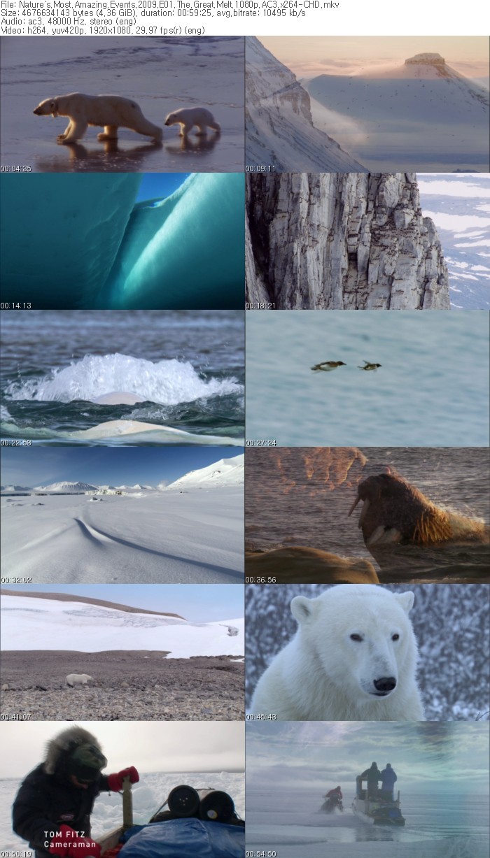 [다큐] [1080P] [BBC] 자연의 가장 놀라운 기적들 Nature`s.Most.Am,무료다운 및 실시간 감상! : 파일캐스트