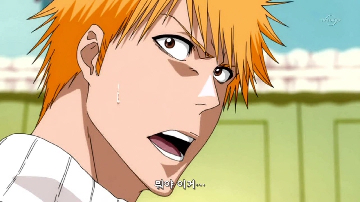 블리치 343~366화 (완결) [1280x720][풀브링편] BLEACH 다운로드