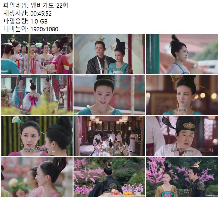 맹비가도 22화,무료다운 및 실시간 감상! : 파일캐스트