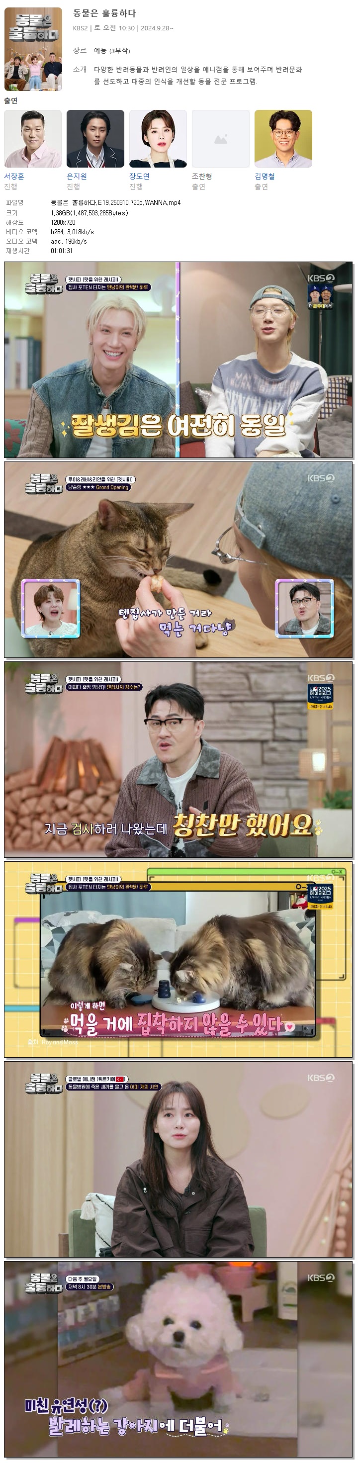 [KBS2] 동물은 훌륭하다.E19.250310.720p.WANNA[장도연, 은지원] 토렌트