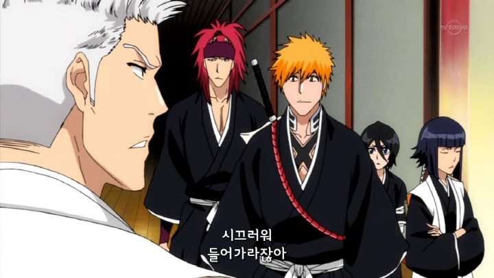 블리치 343~366화 (완결) [1280x720][풀브링편] BLEACH 다운로드