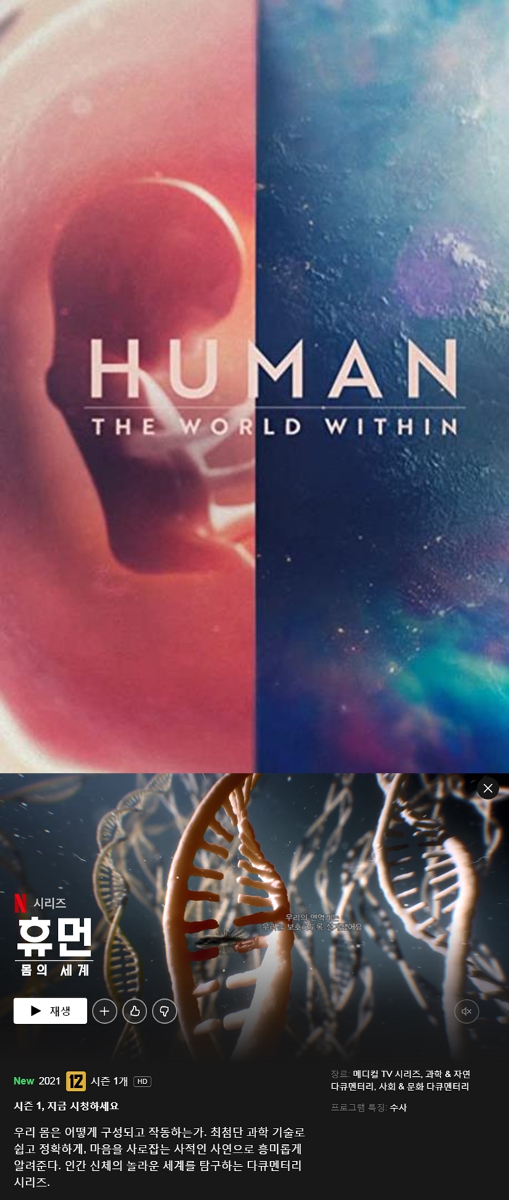 휴먼 몸의 세계 Human The World Within 시즌1 (2021) 6화[완결] [1080p],무료다운 및 실시간 감상 ...
